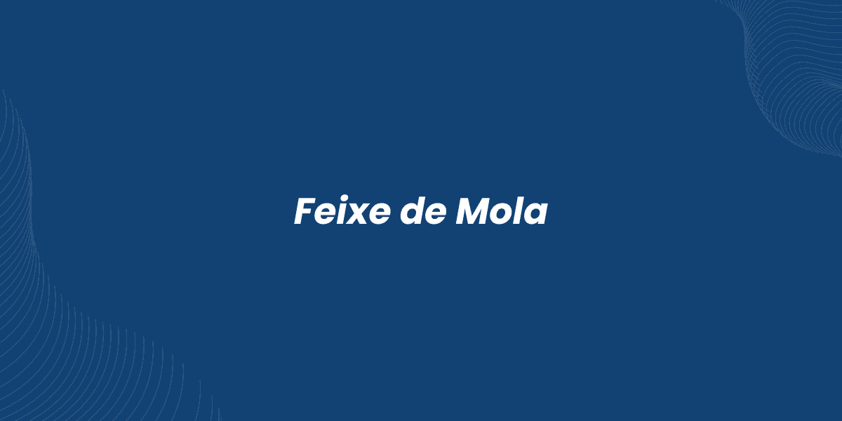 Feixe de Mola para Caminhões: O que é e por que é essencial? - Loja do ...
